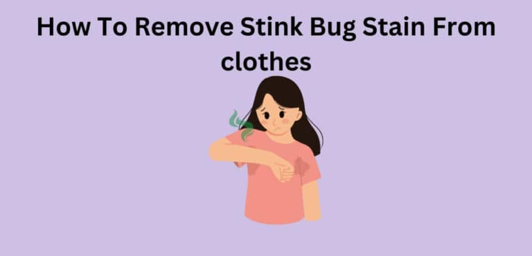How To Remove Stink Bug Stain From Clothes | Cleanup Geek